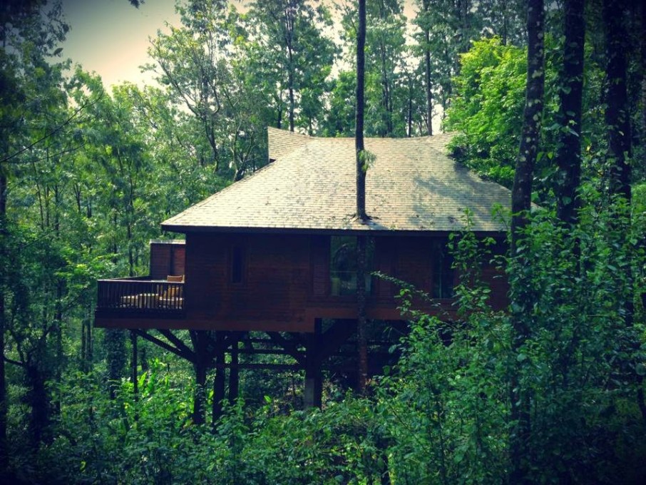 3 Coorg Getaway Places You Need To Visit Right Now! | Curly Tales