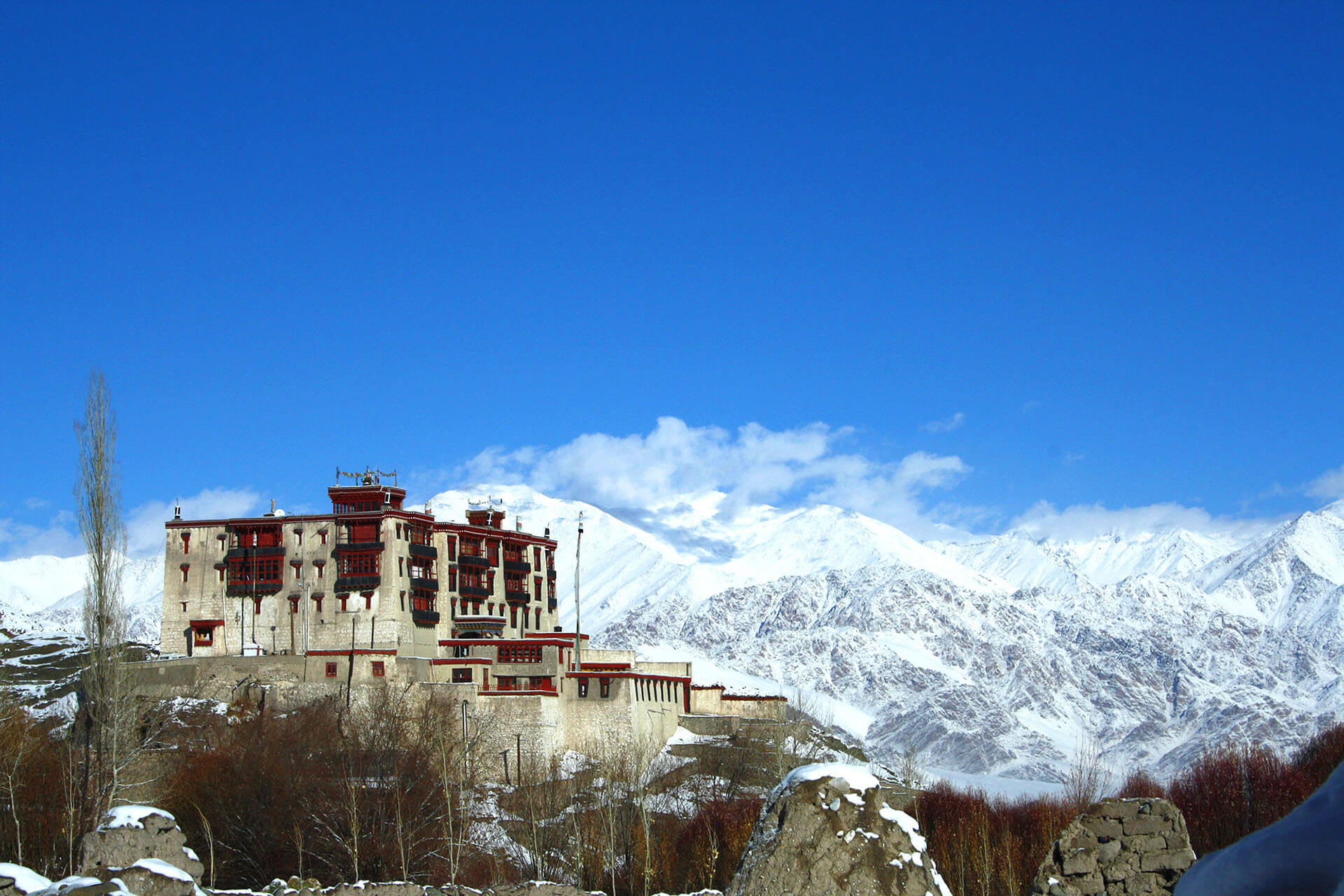 Stay With The King Of Ladakh In Stok Palace | Curly Tales