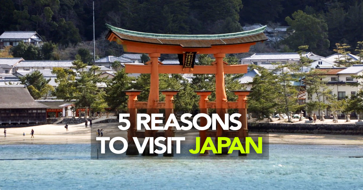 Five Reasons To Visit Japan | Curly Tales