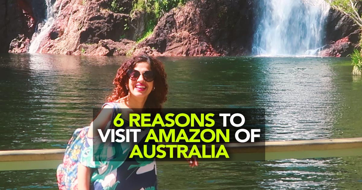 6 Reasons To Visit The Amazon Of Australia | Curly Tales