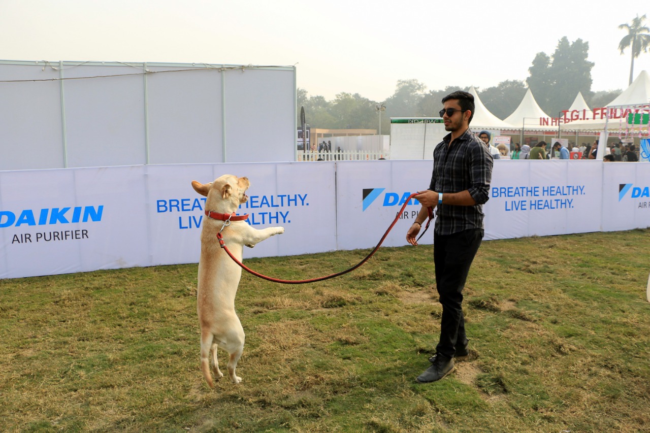 India’s Biggest Pet Festival In Mumbai On 19th-20th Jan | Curly Tales