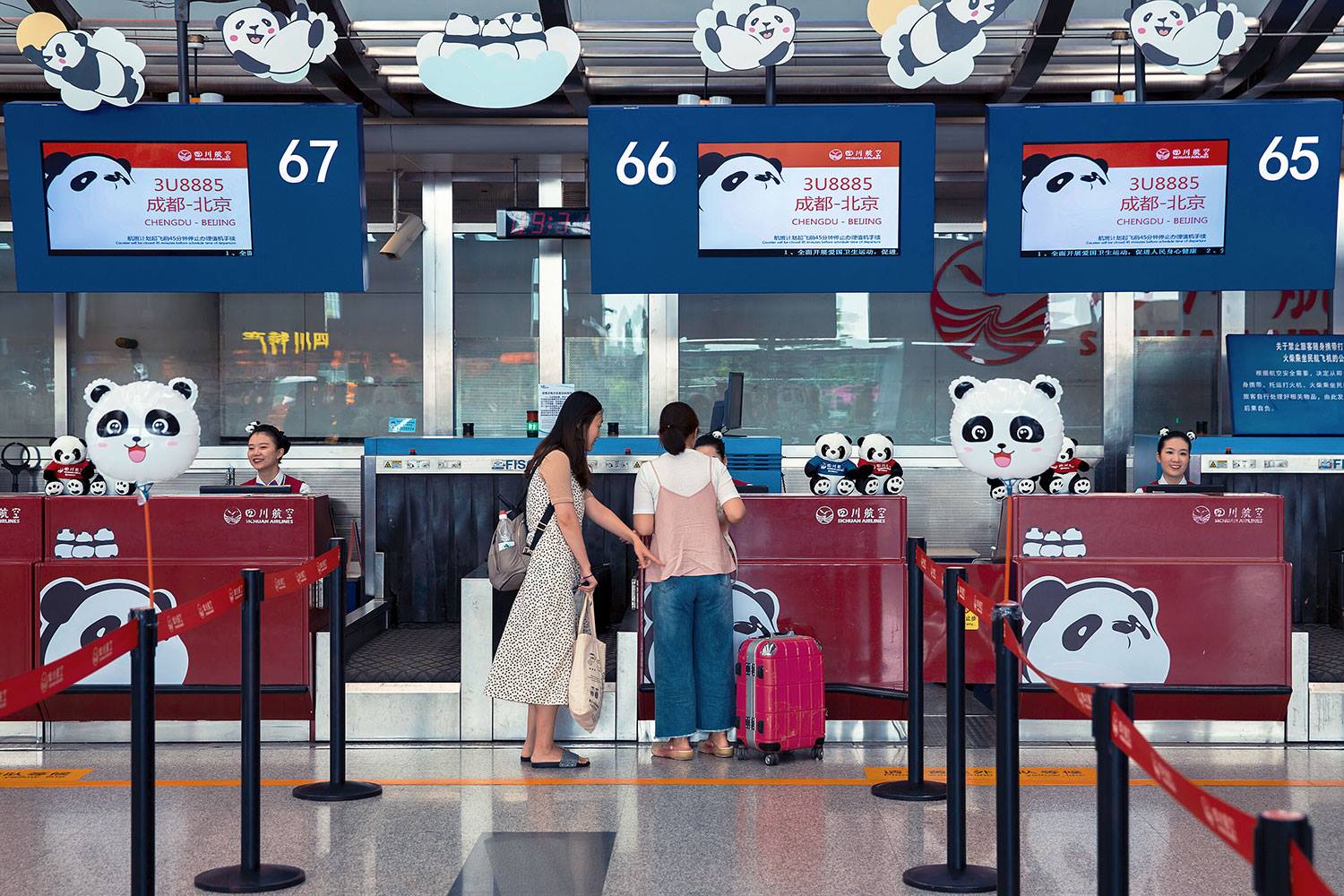 Check Out China's First Panda Themed Airplane | Curly Tales