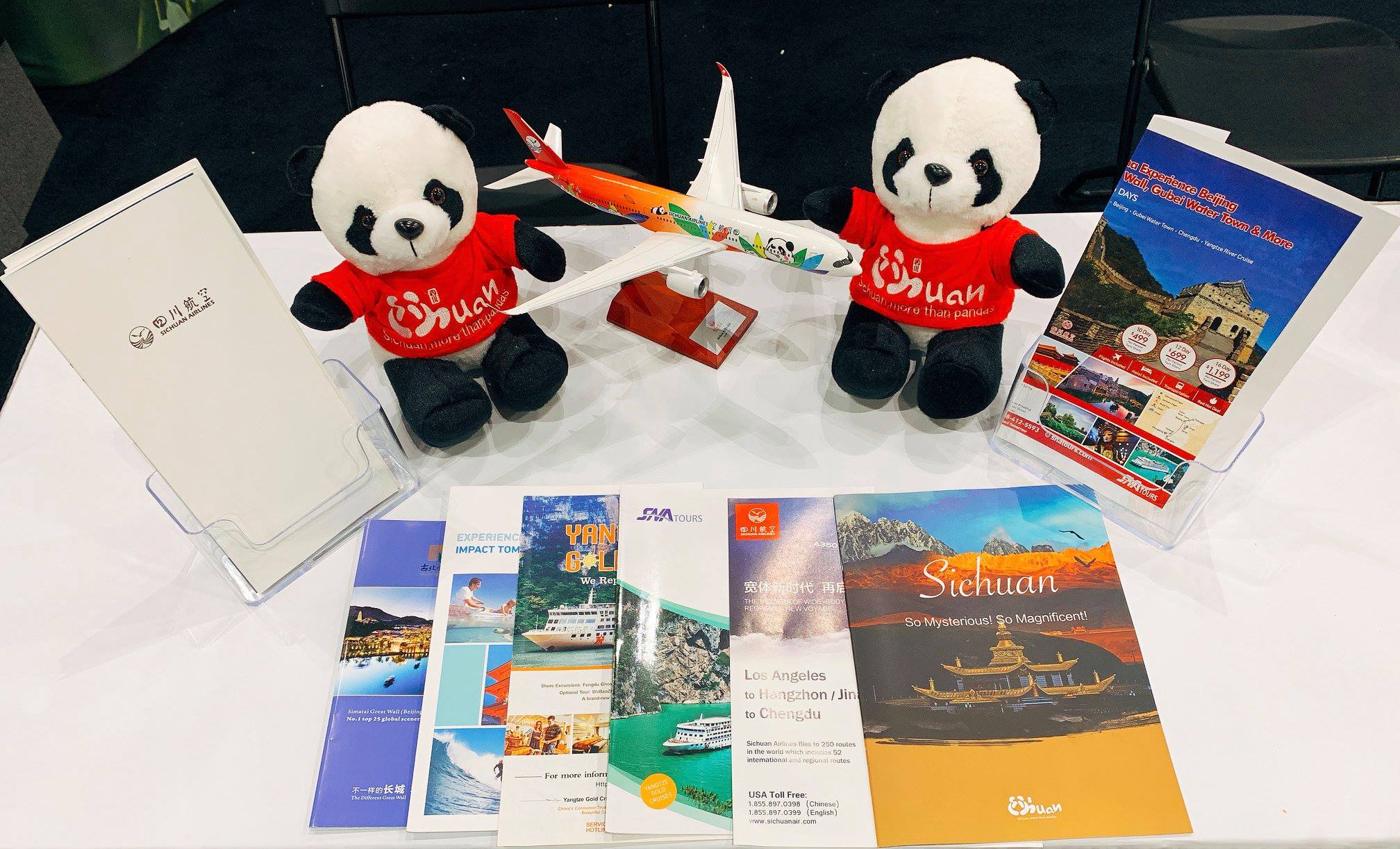 Check Out China's First Panda Themed Airplane | Curly Tales