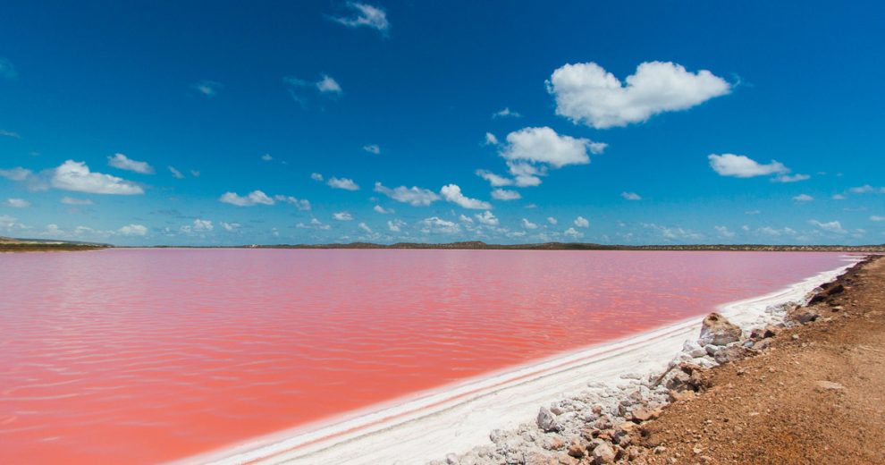 This Pink Lagoon In Australia Holds You Enchanted | Curly Tales