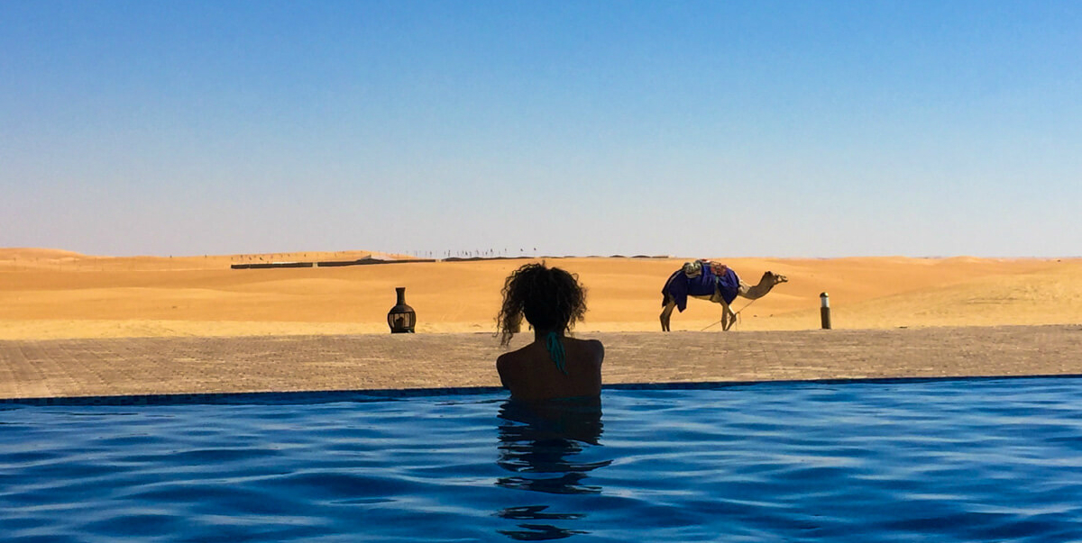 Google ‘Hires’ A Camel For Street View Images of the Desert | Curly Tales
