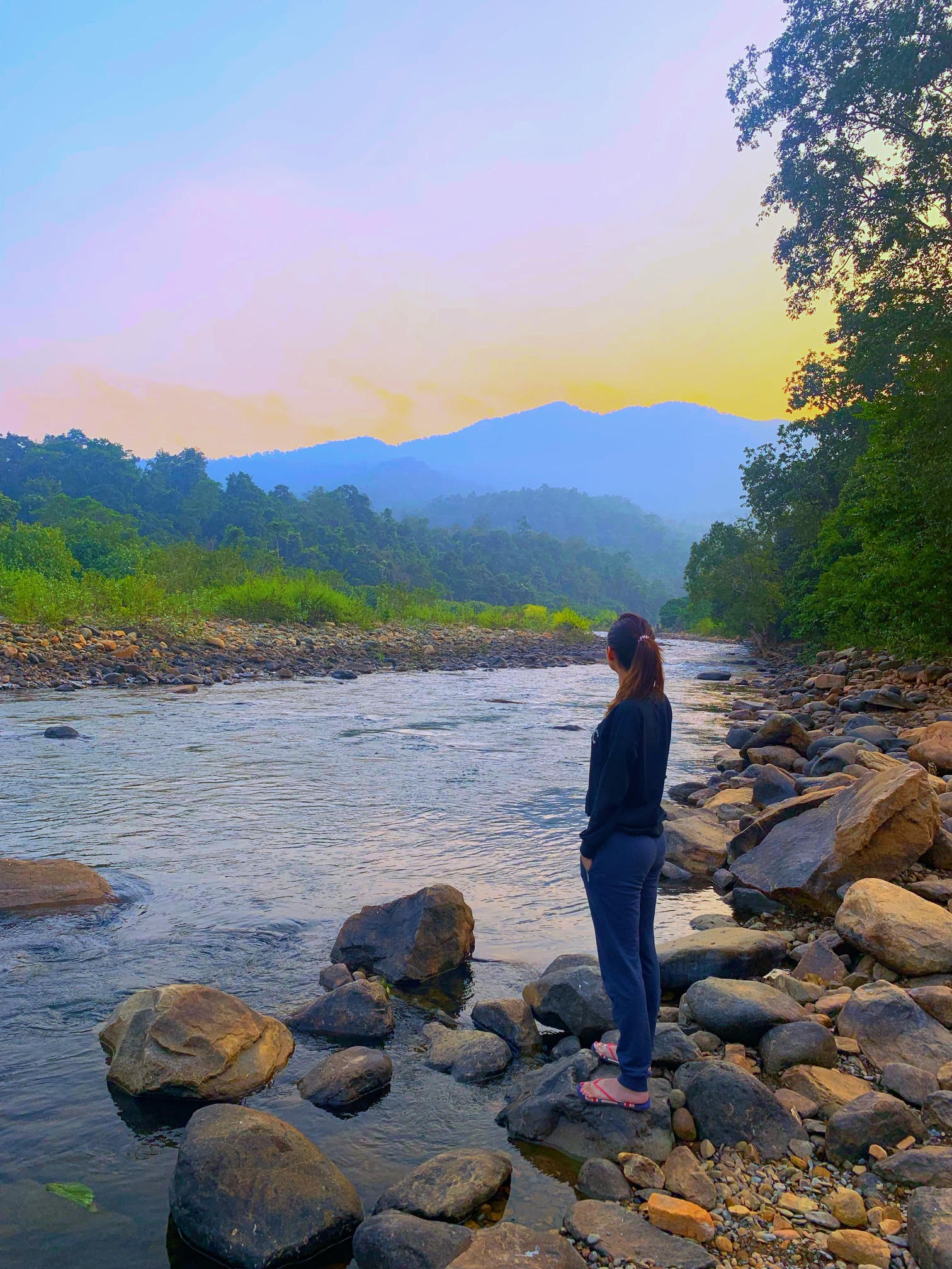 Virtual Tour Of Similipal, Odisha | Curly Tales