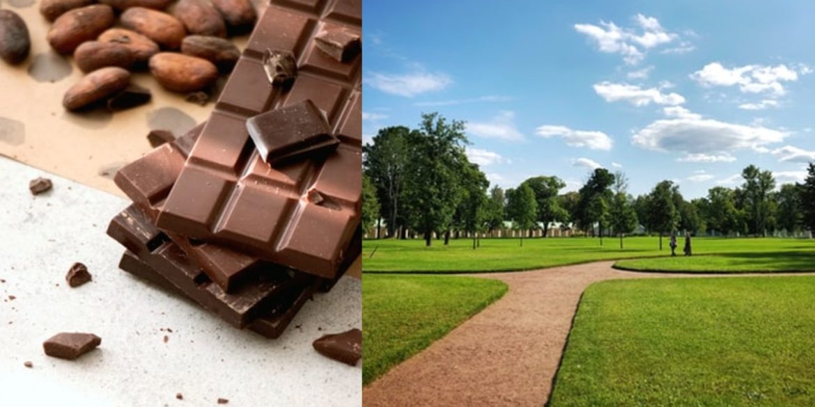 Karnataka To Have Delicious Chocolate Park With Fresh Chocolate Making ...