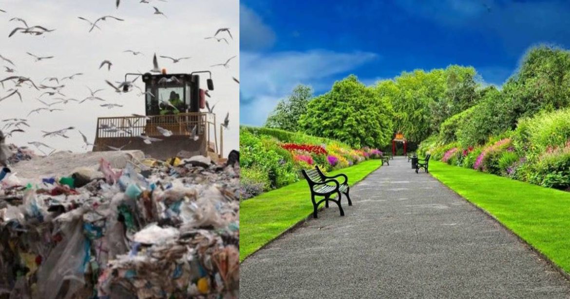 Noida Is Converting An Entire Landfill Into A Green Zone By Planting ...