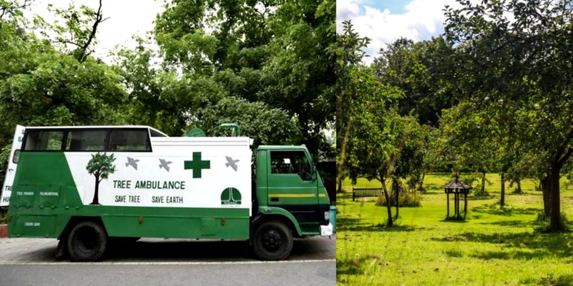 Amristar Has A Tree Ambulance & Clinic Service To Cure Unhealthy Plants ...