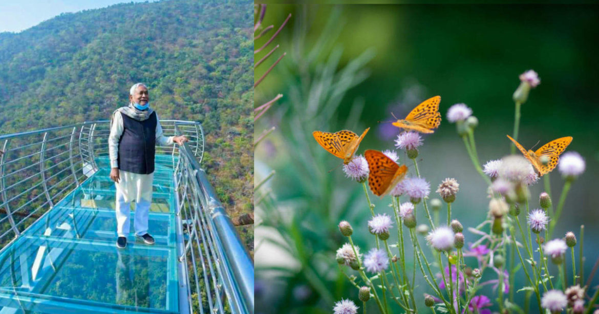 Nature Safari At Bihar With Butterfly Park & Glass Sky Walk To Open ...