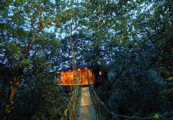 This Tree House In Kerala Is In The Middle Of A Jungle & Is Surrounded ...