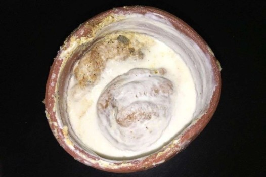 Get Over Kulhad Lassi & Try Creamy Kulhad Dahi Vada At Gole Hatti ...