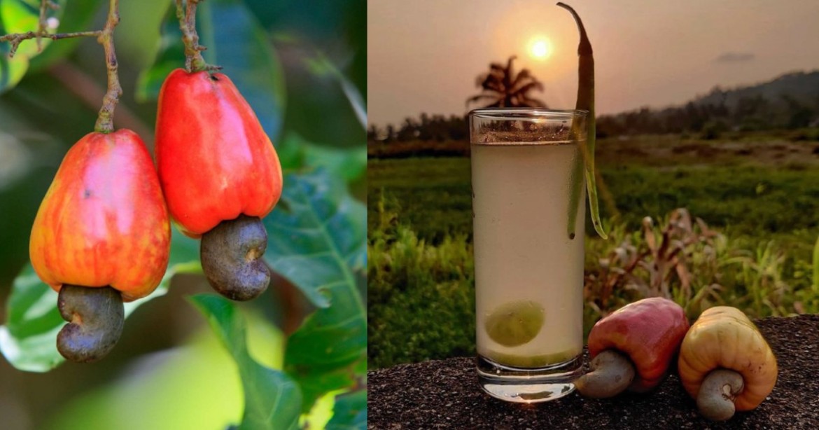 The Urrak From Goa Made From Cashew Apples Will Soothe Your Soul And Senses