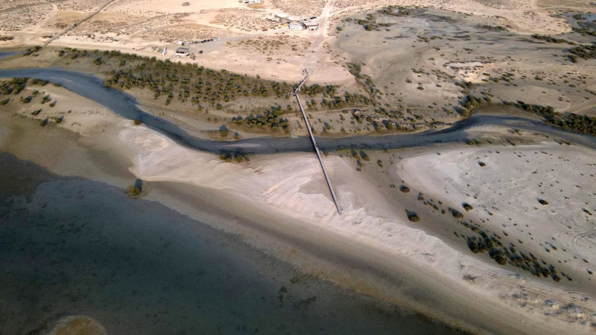 Dubai Now Has A 100% Self-Sustainable Mangrove Forest & The Pictures ...