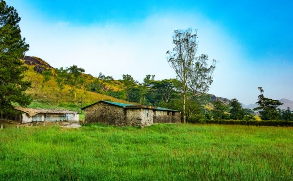 5 Insanely Beautiful Hill Stations In Kerala To Visit Instead Of The ...