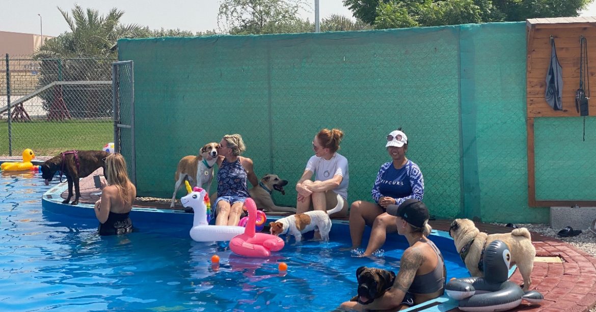 BM Hotels & Resorts Is Hosting A Pool Party At RAK Animal Welfare ...