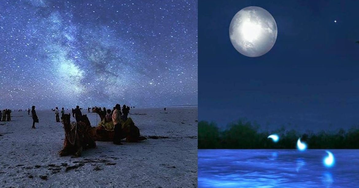 Forget Northern Lights, India's Magical Chir Batti Looks As Bright As ...