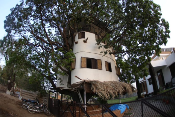 This 4-Storey House Atop A 40 Feet High Mango Tree Is Udaipur's Latest ...