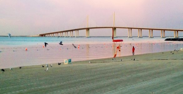 The Women-Only Beach Al Mamlha Makes Its Way To Al Ghariya & Here's ...