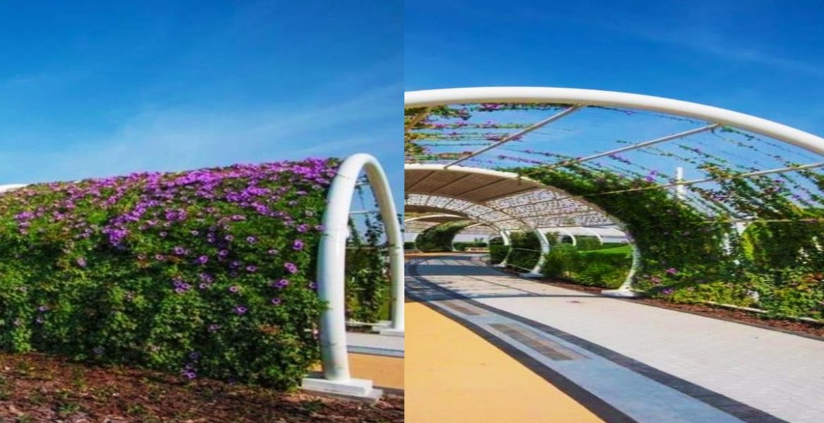 Qatar Gets First-Ever Air Conditioned Jogging Track At Al Gharrafa Park