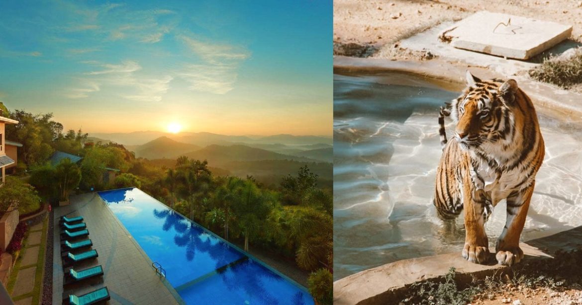 6 Infinity Pools That Are In The Heart Of India's Best Wildlife Reserves