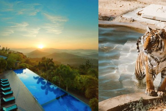 Curly Tales | Food + Travel Recommendations