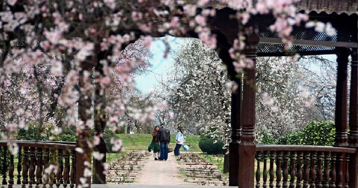 Magical Experiences To Add To Your Kashmir Itinerary