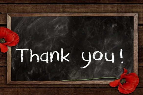 Curly Tales | Food + Travel Recommendations