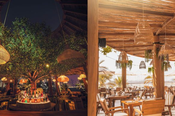 Curly Tales | Food + Travel Recommendations