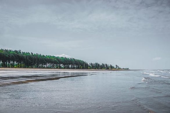 5 Unexplored Spots In Vasai You Need To Visit ASAP! | Curly Tales