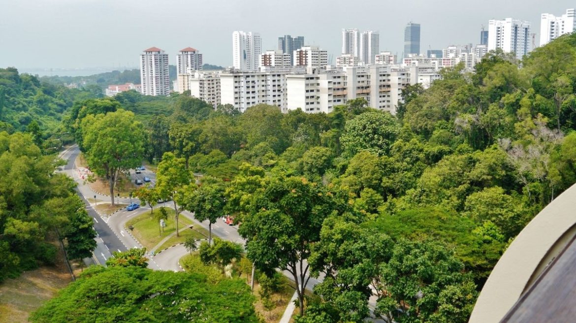 World Environment Day: 5 Greenest Cities To Live In India