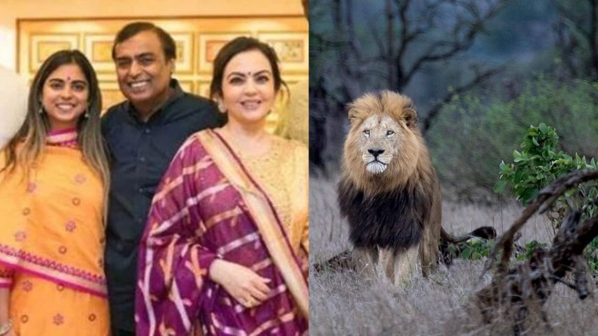 This National Park In Africa Is Ambani Family's Favourite Holiday ...