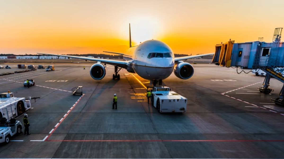 Curly Tales | Food + Travel Recommendations