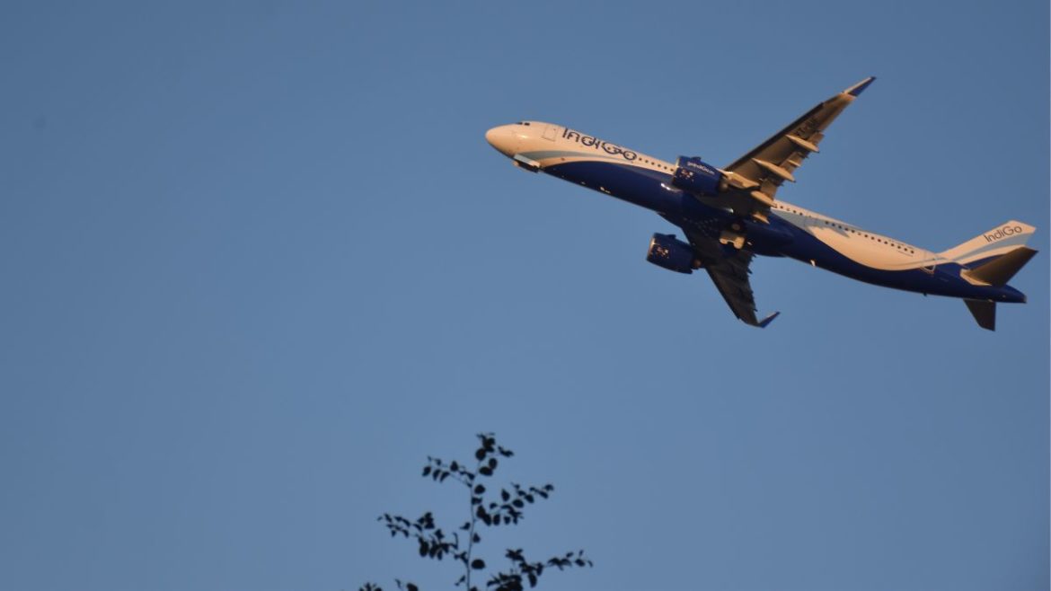 IndiGo Charges 'Cute Fee' From Passengers And Here's What It Means
