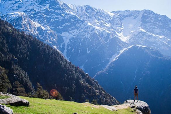 Curly Tales | Food + Travel Recommendations