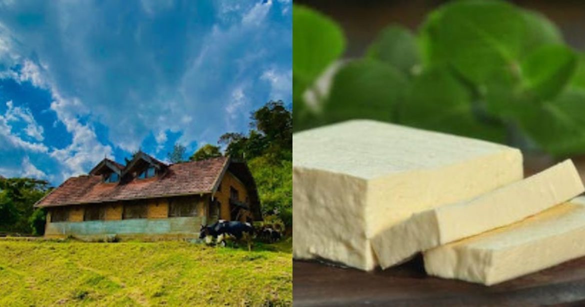 5 Cheese Farms In India That You Didn't Know Existed!