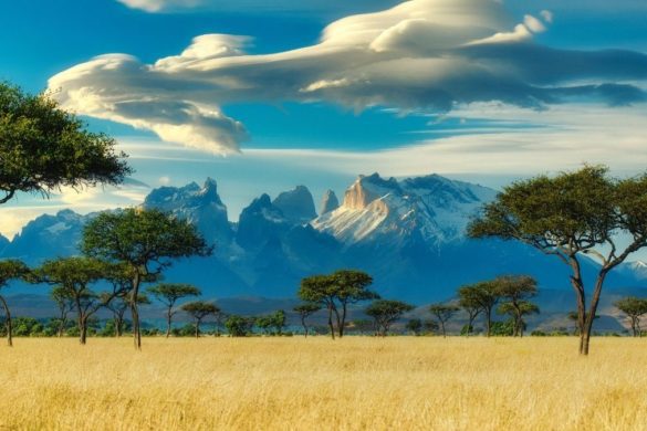 Try out Japan's largest bridge - the roller coaster bridge