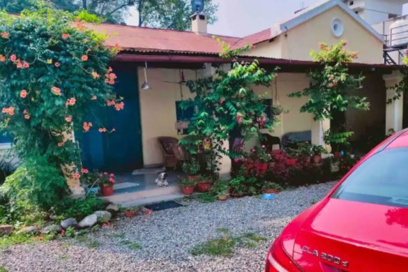 Curly Tales | Food + Travel Recommendations