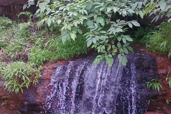 Witness This Hidden Waterfall In Tamhini & Enjoy Trekking At An Offbeat ...