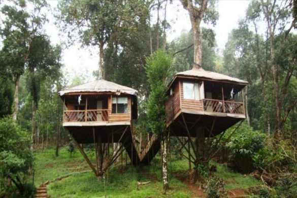 Stay In These 5 Tree Houses Near Bengaluru For Your Next Getaway ...