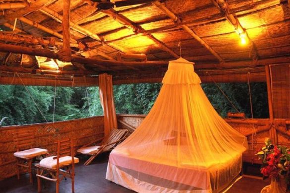 Stay In These 5 Tree Houses Near Bengaluru For Your Next Getaway ...