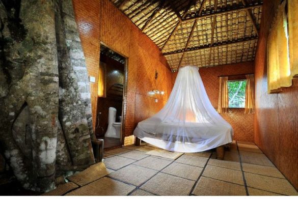 Stay In These 5 Tree Houses Near Bengaluru For Your Next Getaway ...