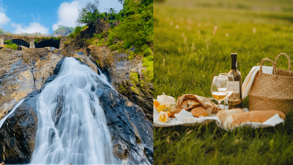 Goa's Waterfalls To Get Facelift With Picnic Areas, Tour Guides, Bio ...