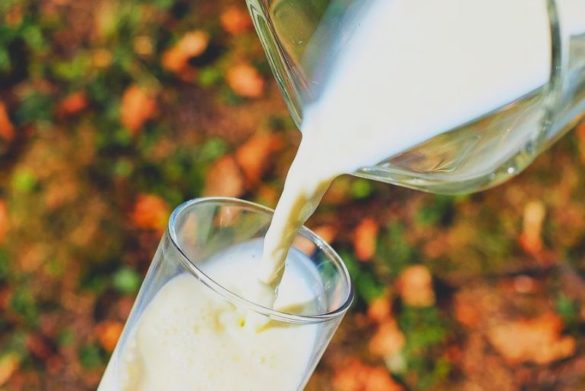 Facts About Lugdi, The Himachali Beer Ranbir Kapoor Had In Yeh Jawaani