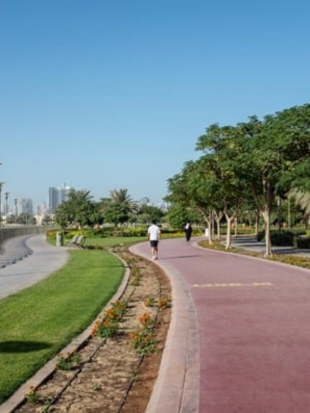 8 Parks To Visit In Sharjah