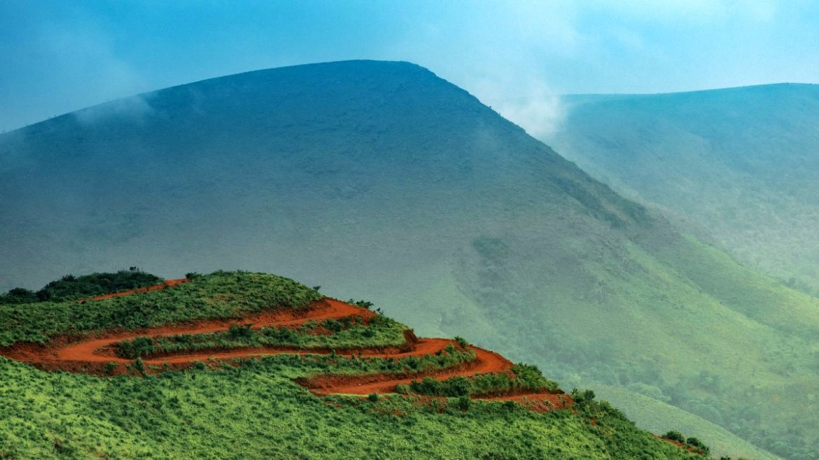 Andhra Pradesh's Only Grassland In Gudisa Hill Range Is Now Open For ...