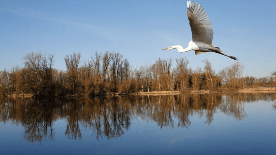 Delhi's Asola Bhatti Wildlife Sanctuary To Get Artificial Waterfalls ...