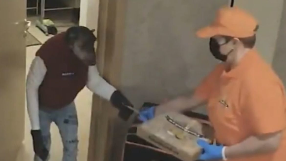 Chimpanzee Receiving & Paying For Pizza Delivery Is The Strangest Video ...
