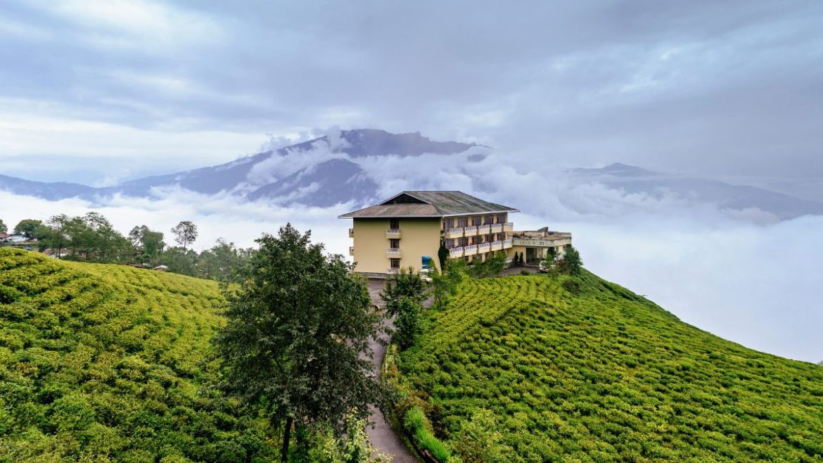 This Is The Only Tea Estate In Sikkim Flanked By Misty Hills And A ...