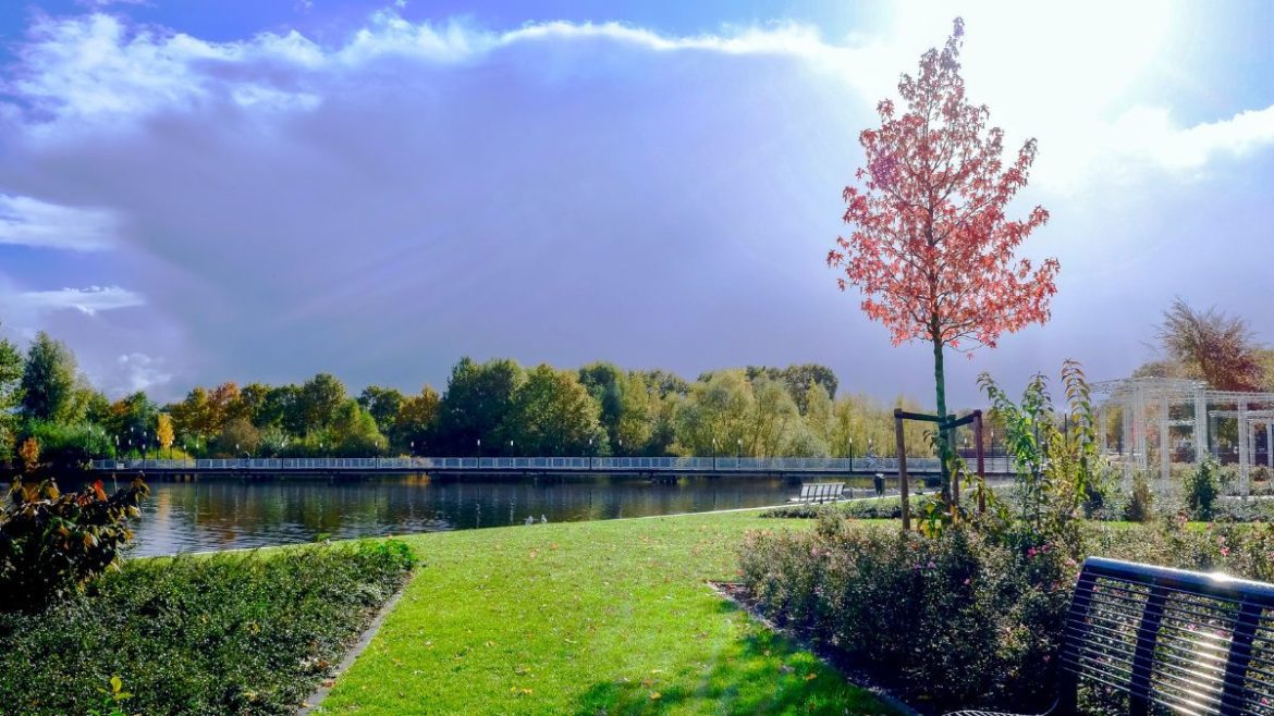 5 Best Gardens In Sharjah Where You Can Unite With Nature